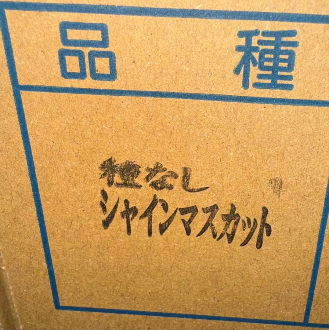 山梨県産ぶどう⭐️シャインマスカット⭐️家庭用10房入り箱込み約5.6キロ
