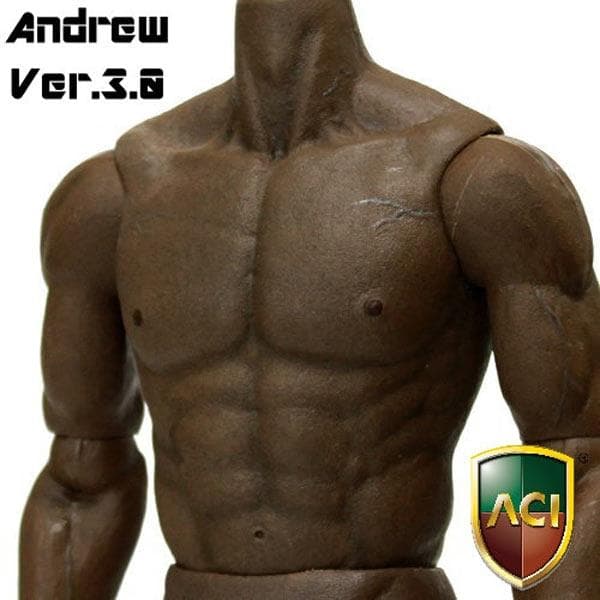 その他 ACI TOYS 1/6 BODY SERIES ANDREW