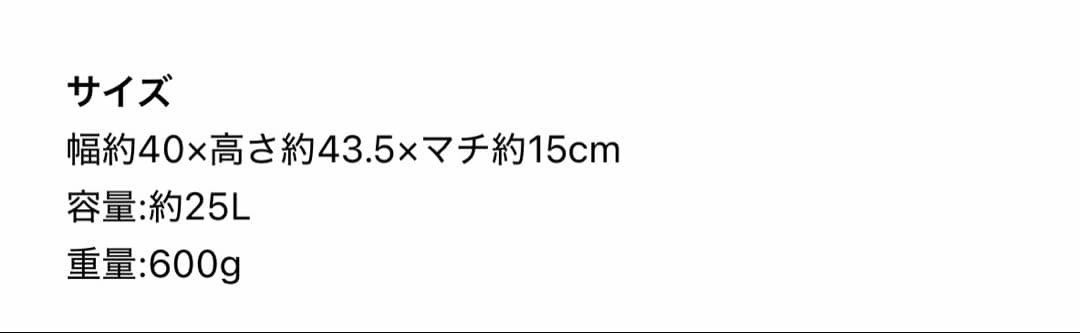 BUMP OF CHICKEN リュック バックパック 周年グッズ