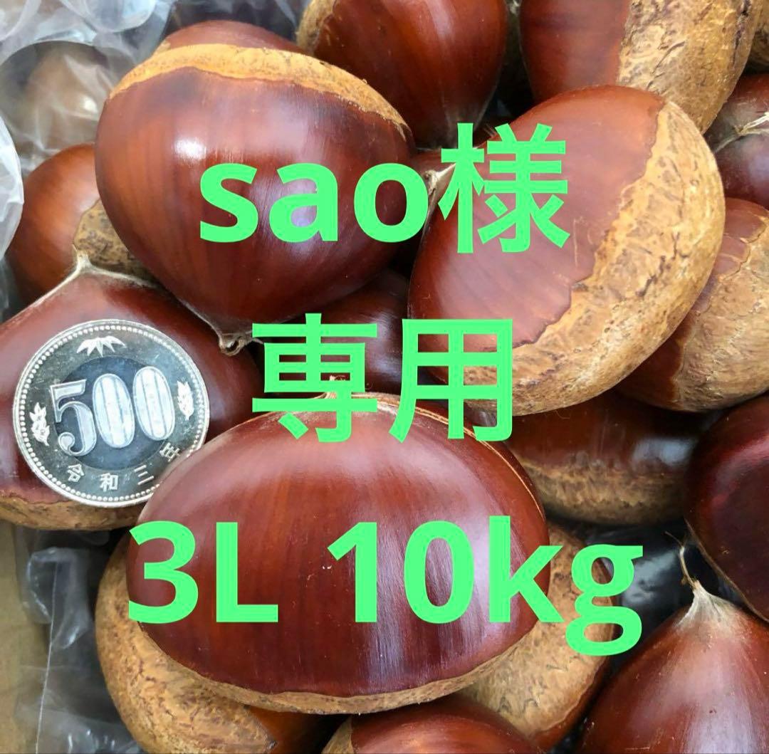 sao 3 L 20kg 栗