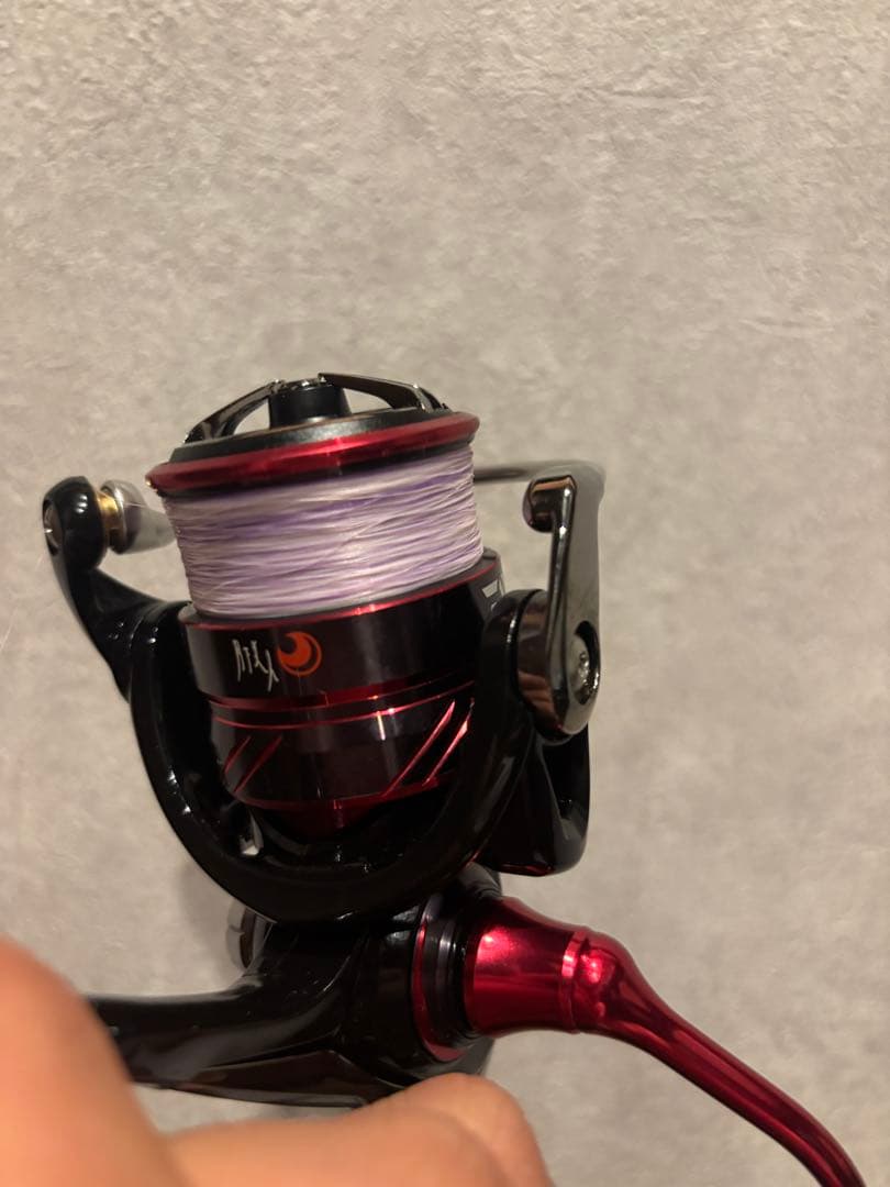 DAIWA EX AGS AJING& MX LT 2000S アジングセット