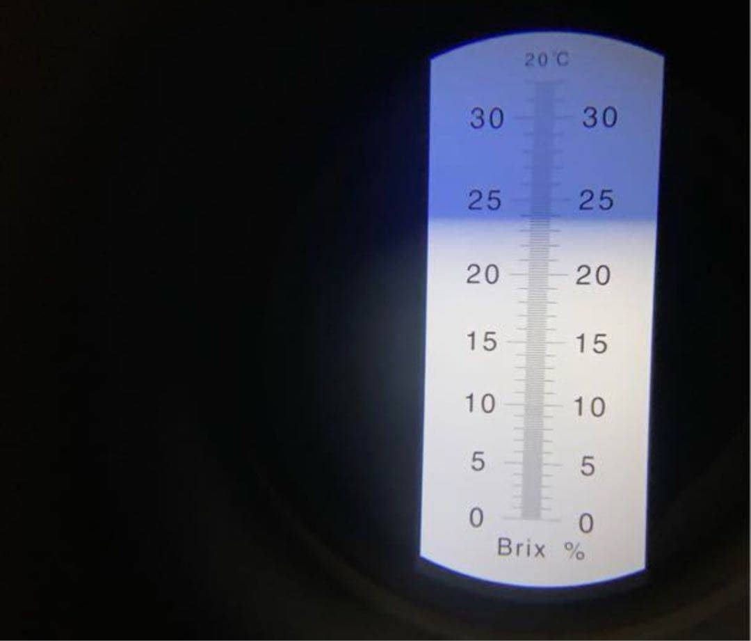2日発送　COCOページ　クール便