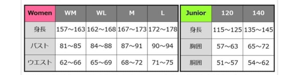 daiwa ゴアテックス レディース レインウェア上下