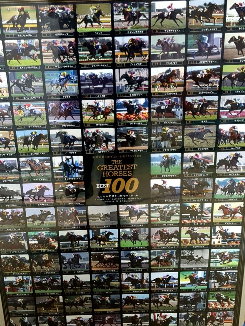 THE GREATEST HORSES 100 ポスター 希少 競馬 JRA