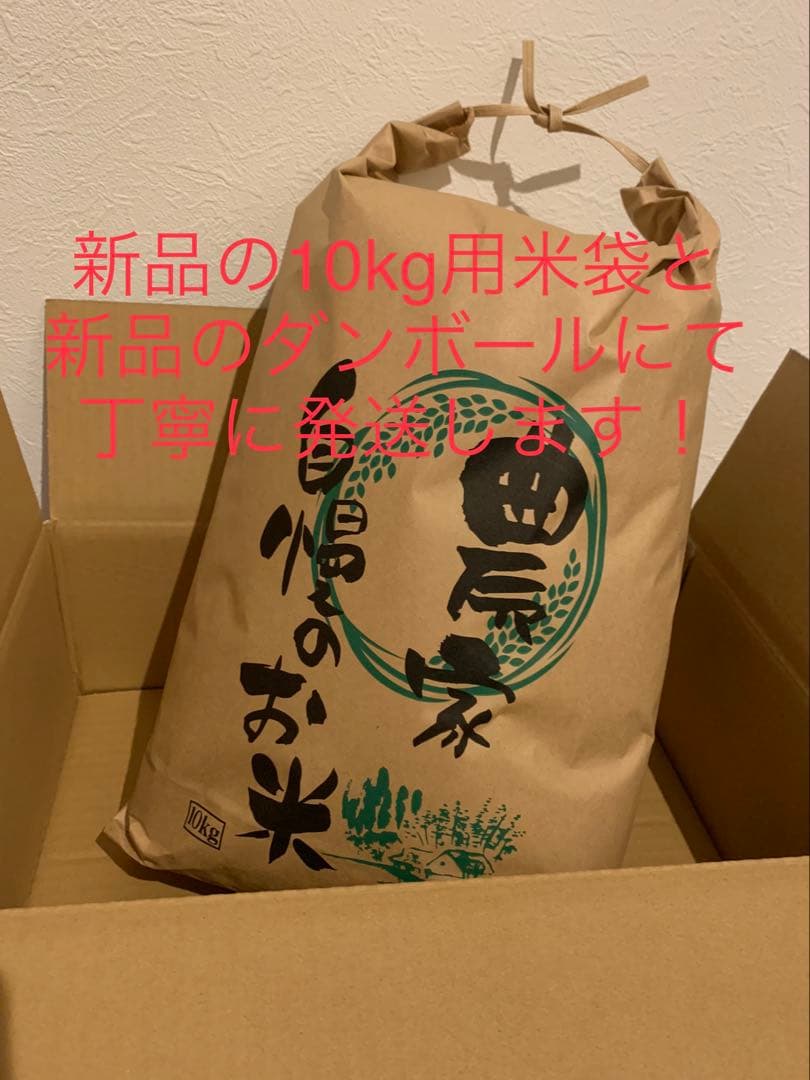 精米済み10キロ【農家直送！】新潟県産こしいぶき　特別栽培米　7年産　低温冷蔵