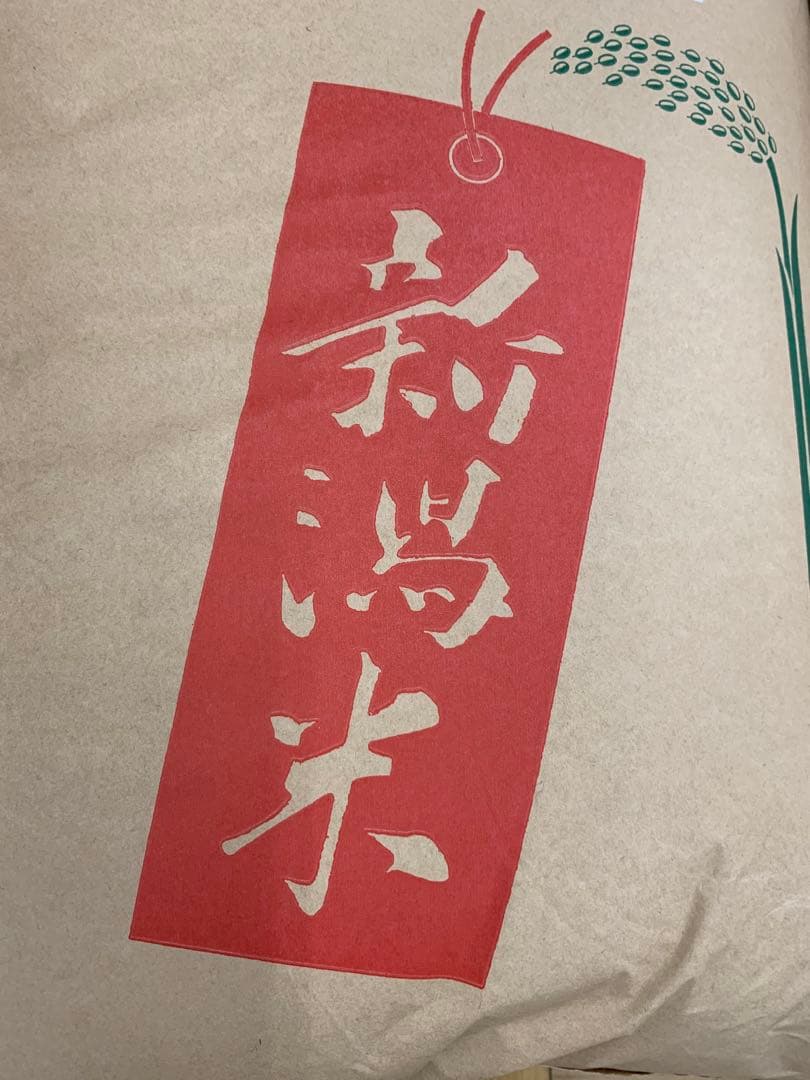 精米済み10キロ【農家直送！】新潟県産こしいぶき　特別栽培米　7年産　低温冷蔵