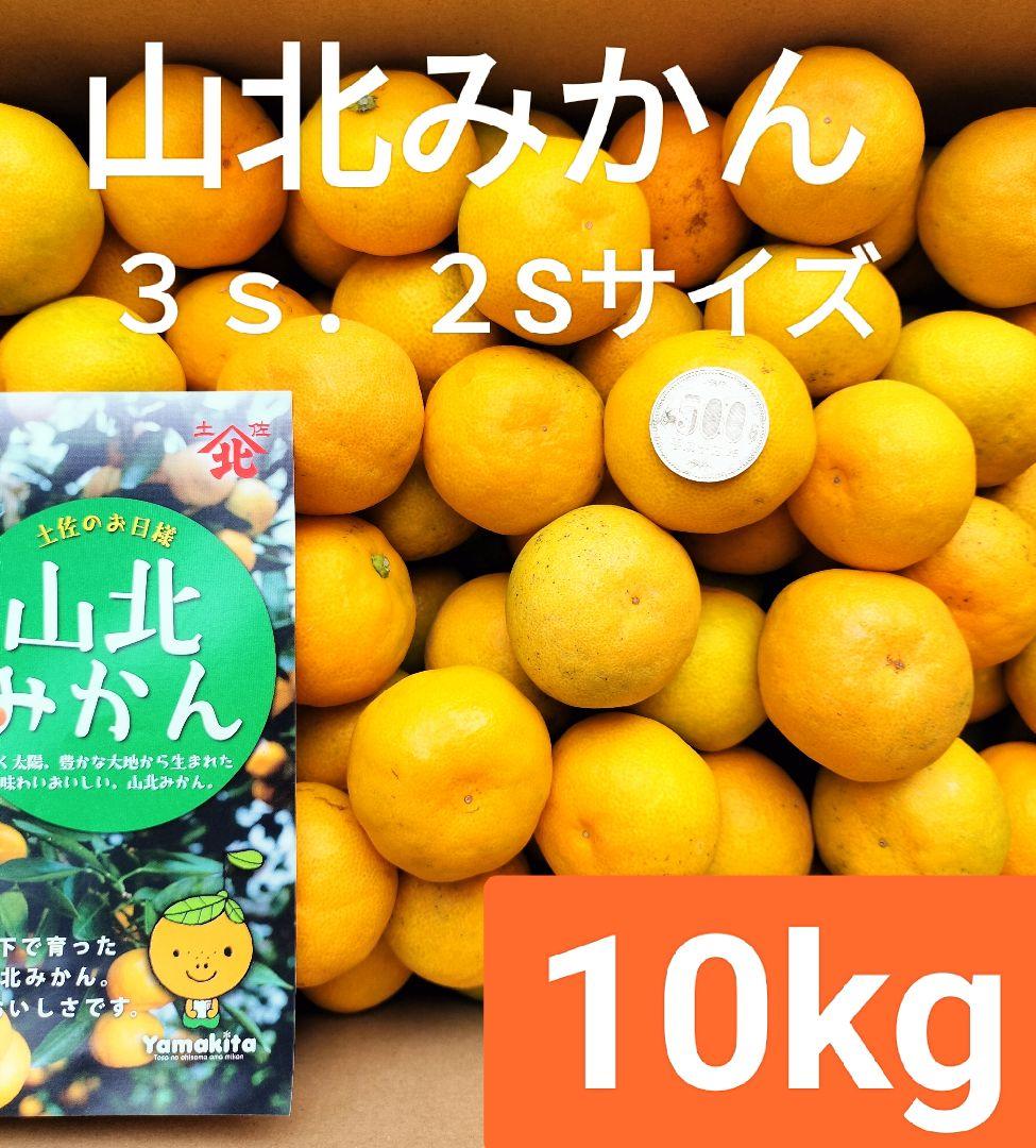高知産　約１０ｋｇ　露地山北みかん　２Ｓ、３Ｓ　秀品　北海道沖縄発送不可
