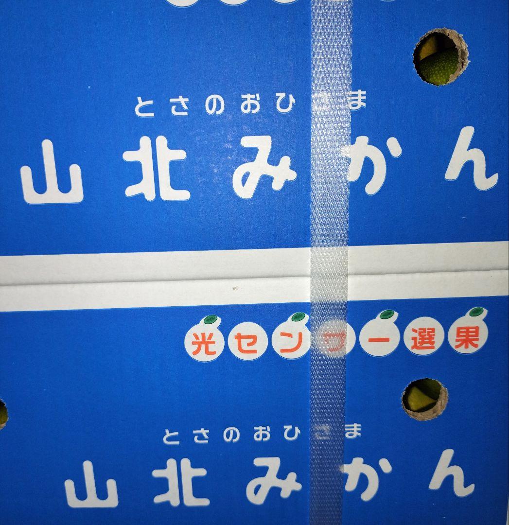 高知産　約１０ｋｇ　露地山北みかん　２Ｓ、３Ｓ　秀品　北海道沖縄発送不可