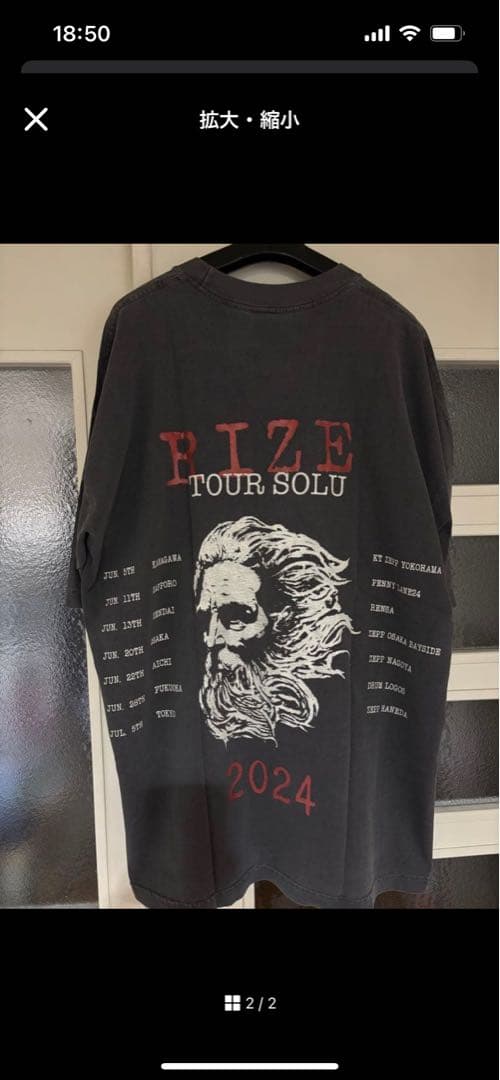 ミュージシャン RIZE ZEUS TEE The BONEZ