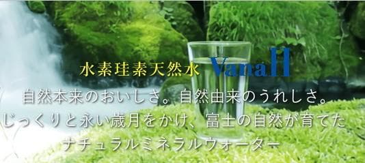 【送料無料】バナエイチ VabnaH 水素水 ケイ素水 1.9L×24本