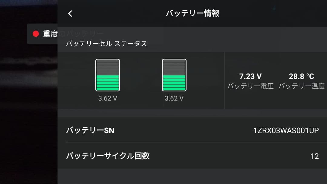 DJI Mavic Mini マビック ミニ