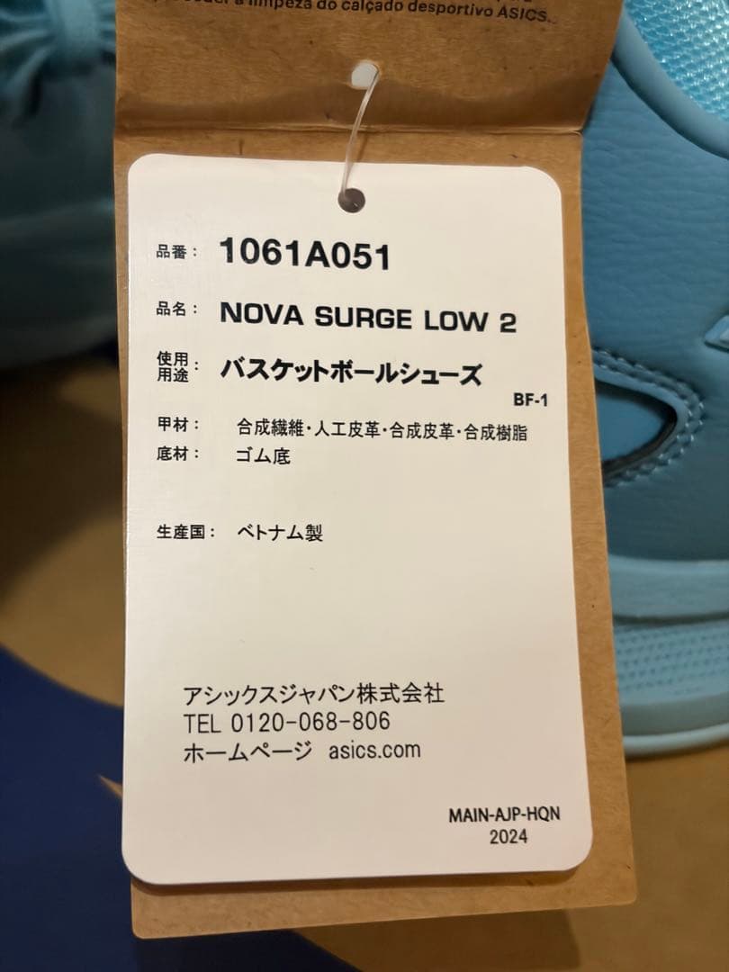 asics NOVA SURGE LOW 2 バスケットシューズ