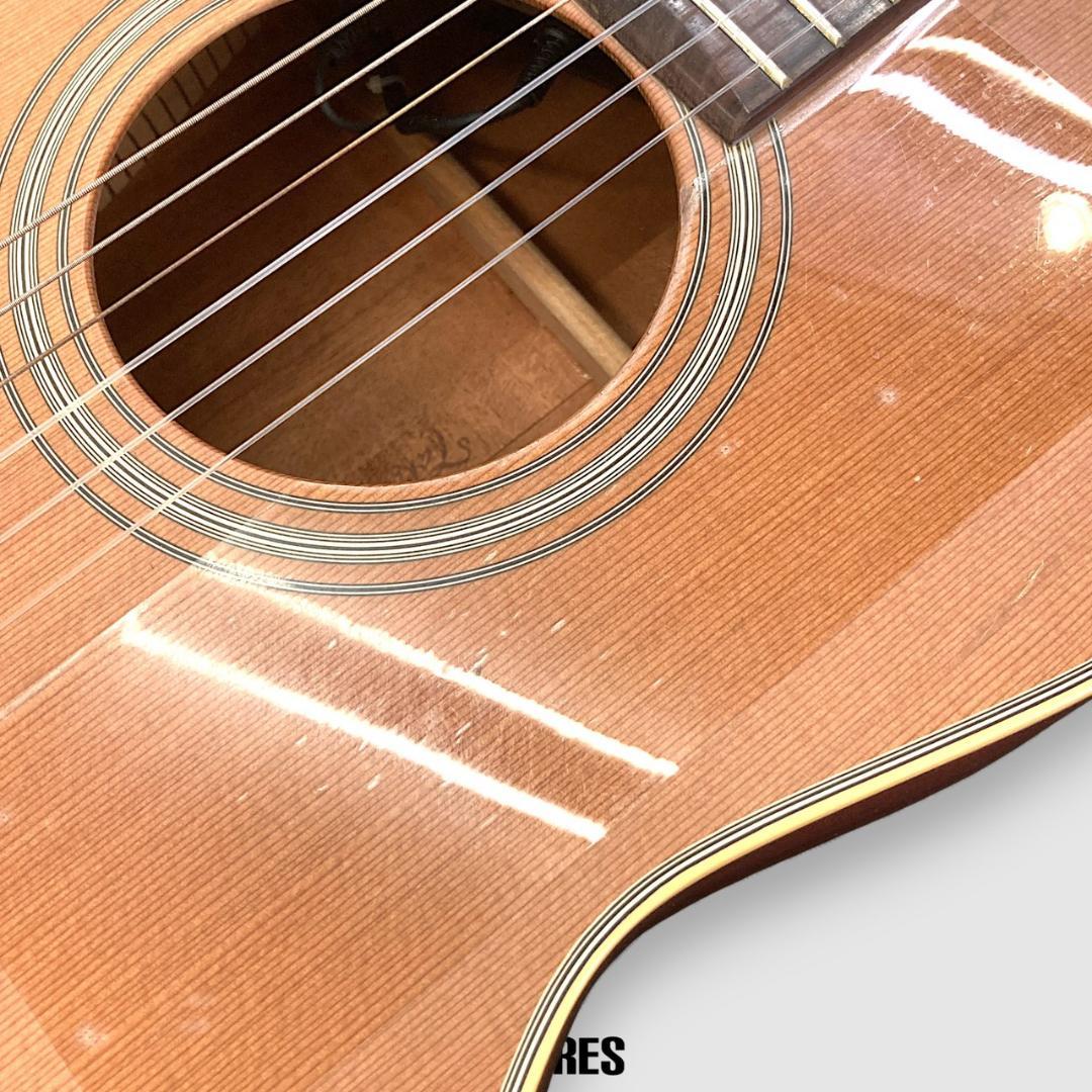 Takamine PT-408N ニューヨーカースタイル エレガット