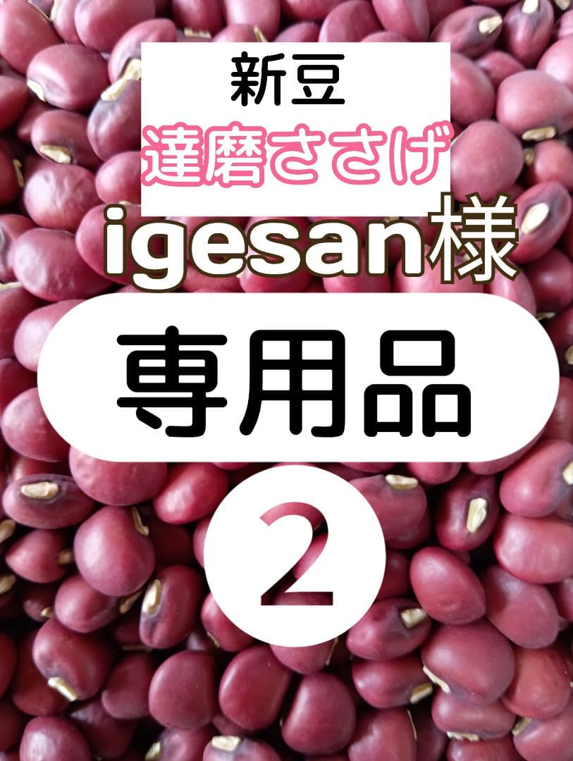 igesan品です