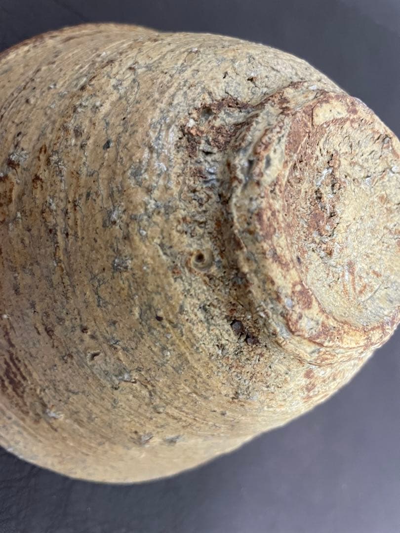 森田十雨　黄いらほ茶盌　共箱　共布　茶碗　茶道具