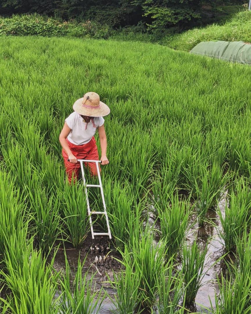 ★自然栽培米　玄米10kg(5kg×2)　令和7年度　熊本県産　森のくまさん★