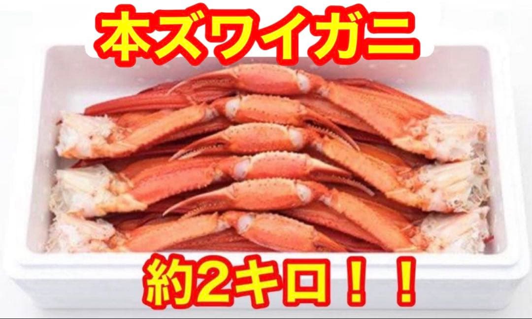 古*一様 【大満足実入り抜群】本ズワイガニ2キロ！早い者勝ち!味良し！実入り良し