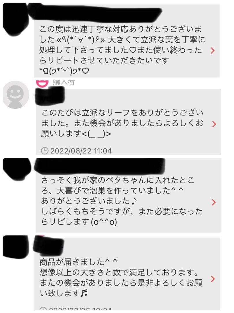 沖縄県やんばる産マジックリーフ 1kg UV殺菌灯照射済み⑥