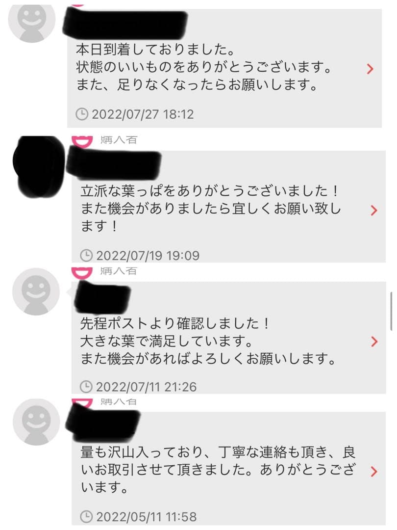 沖縄県やんばる産マジックリーフ 1kg UV殺菌灯照射済み⑥