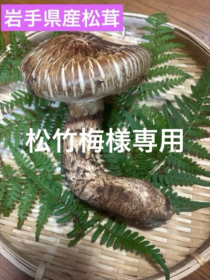 岩手県産松茸300g