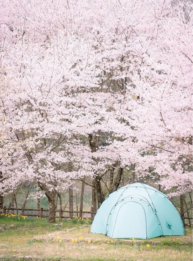 一度使用 powtent pow tent パウテント ドームテント