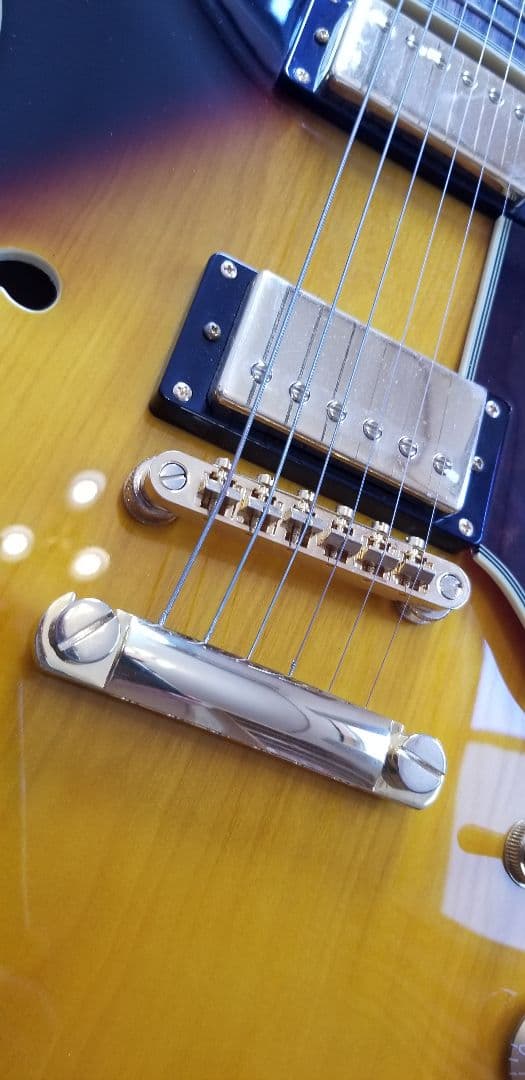 新品同様 Epiphone Sheraton II Pro 純正ハードケース