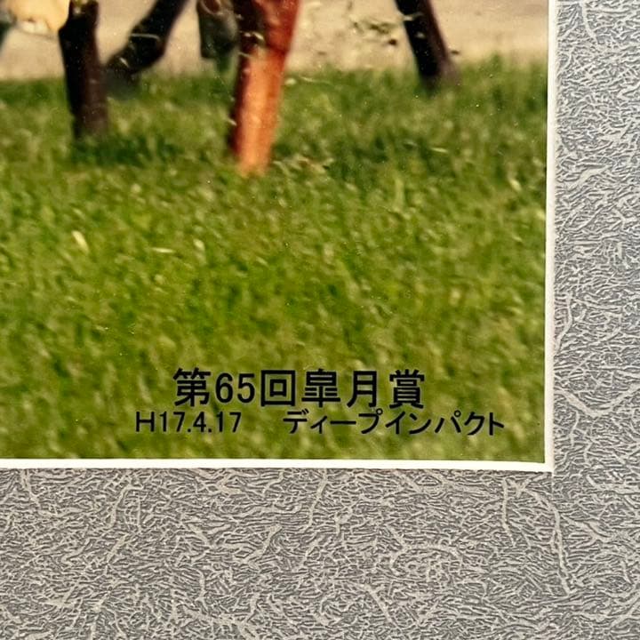 ディープインパクト 武豊 3冠馬 Gallop サンケイスポーツ　競馬 パネル