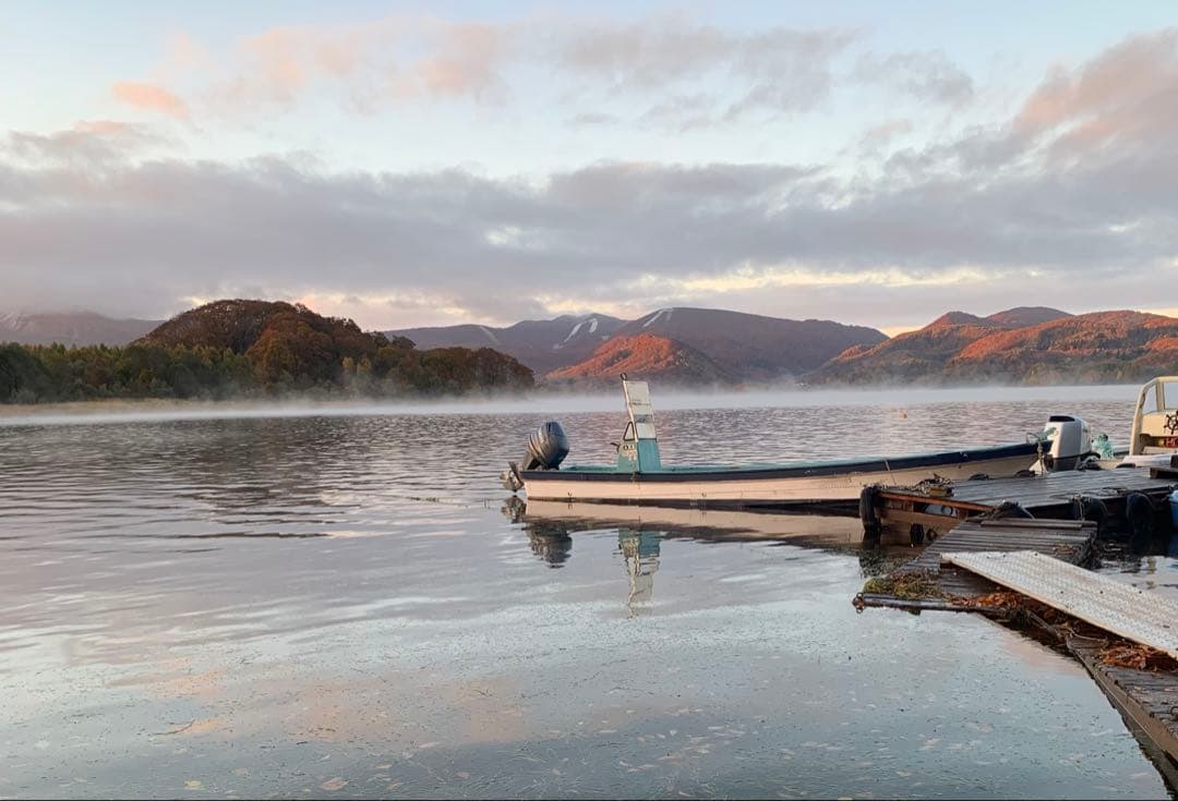 オススメ　ワカサギ　ステンレス穂先　全長約250ミリ　2本