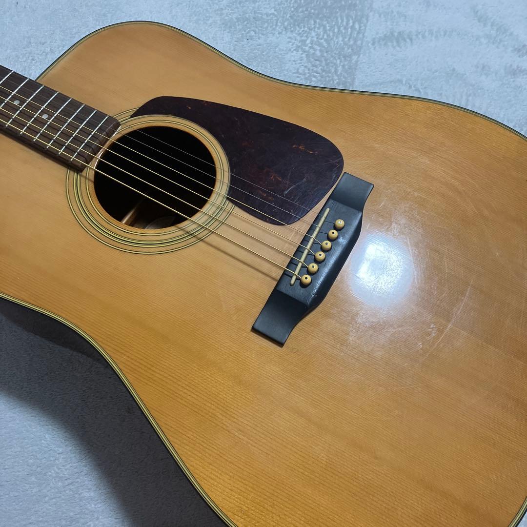 Morris アコースティックギター MD-502