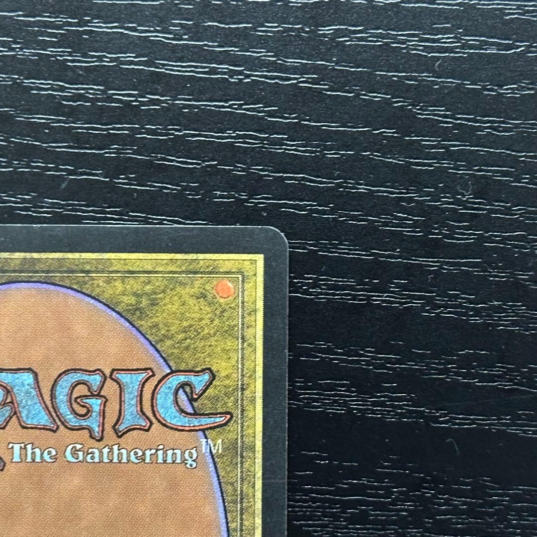 MTG セラの聖域 英語