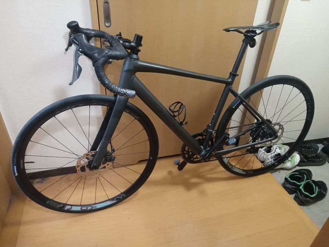 mei✳️　trek domane al2gen4 2024 中古美品