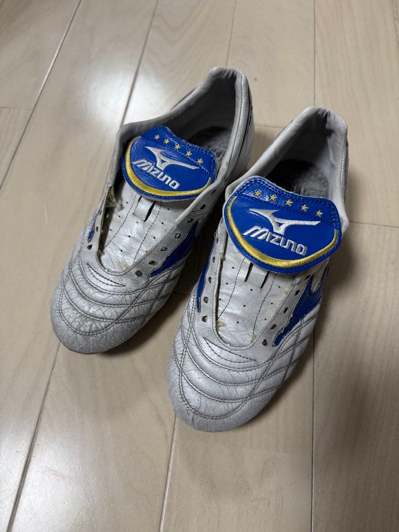 mizuno ウェーブカップレジェンド　25.0cm