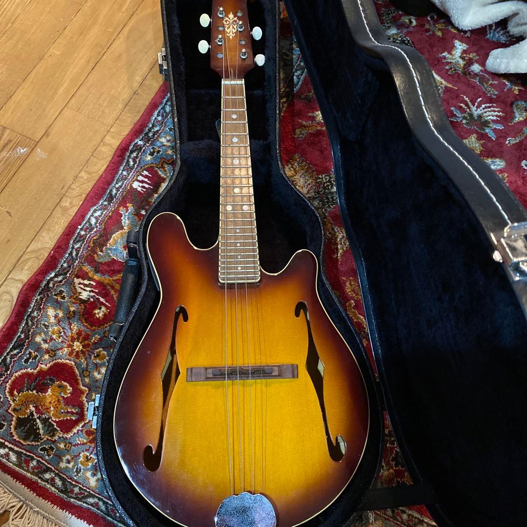 ギター Fender Mandolin FM-60s