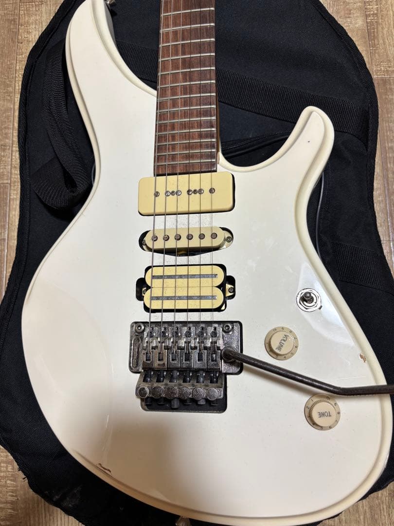 C*o様 Sago Seed Kotetsu 和楽器バンド 町屋シグネチャーモデ