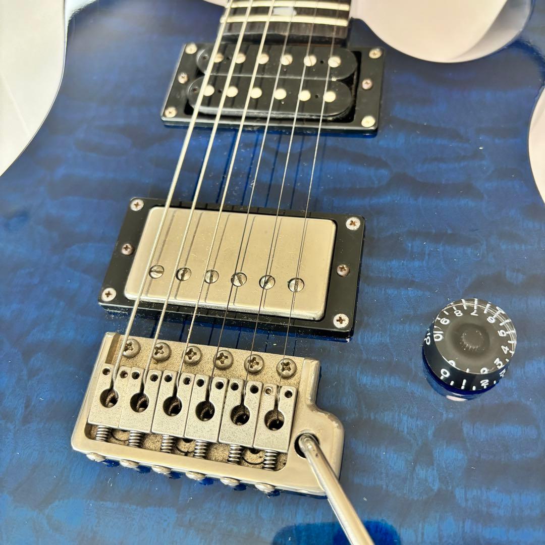 ★Dragon II換装★PRS ポールリードスミス SE Custom24