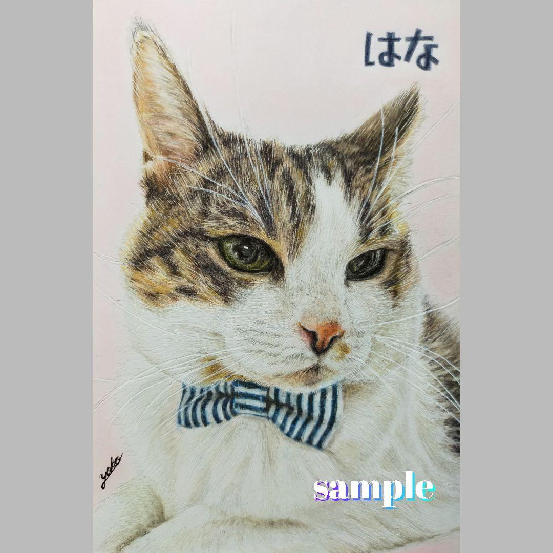 色鉛筆画✭愛猫愛犬✭ペット似顔絵　肖像画　イラスト　注文オーダー　受付ページ　1