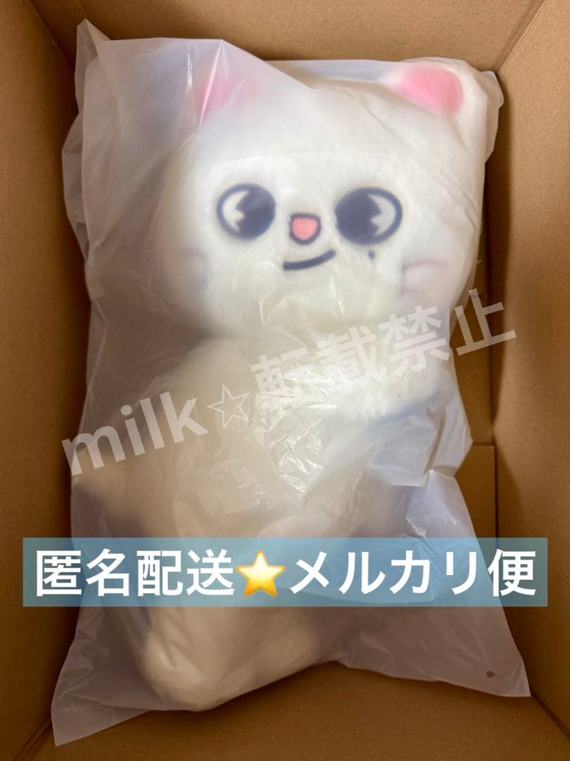 【新品未開封】SKZOO PLUSH BAG celebrATE Jiniret