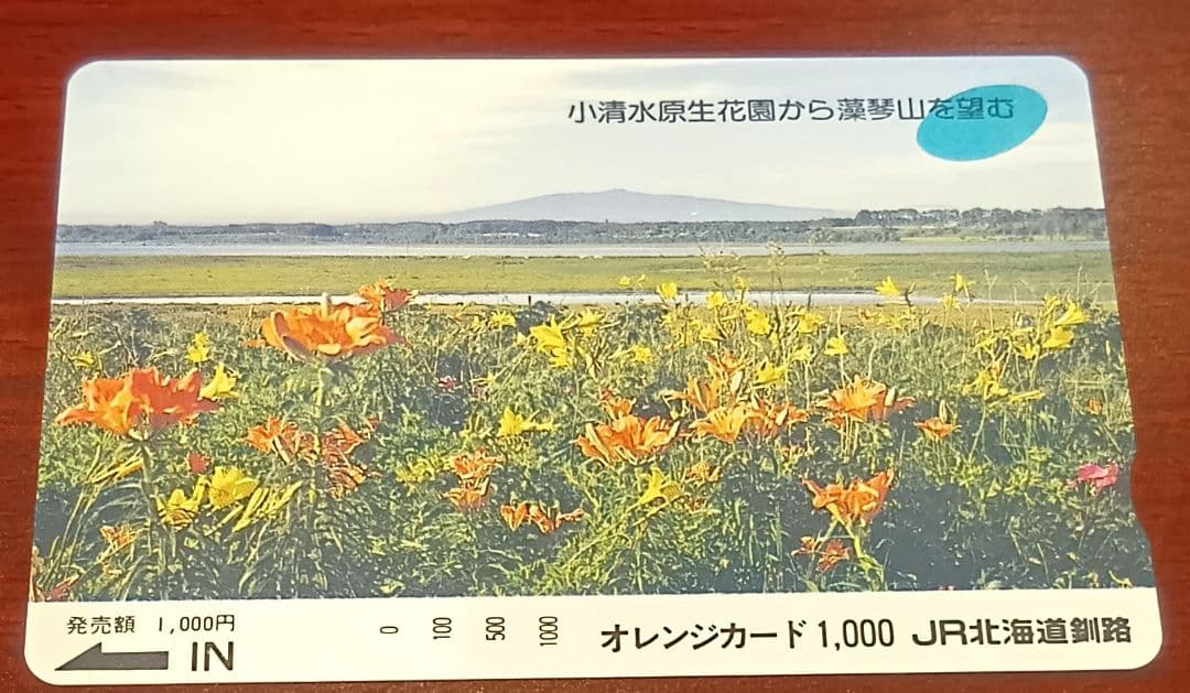 国鉄/JR東日本/JR北海道/JR貨物 オレンジカード13枚 未使用