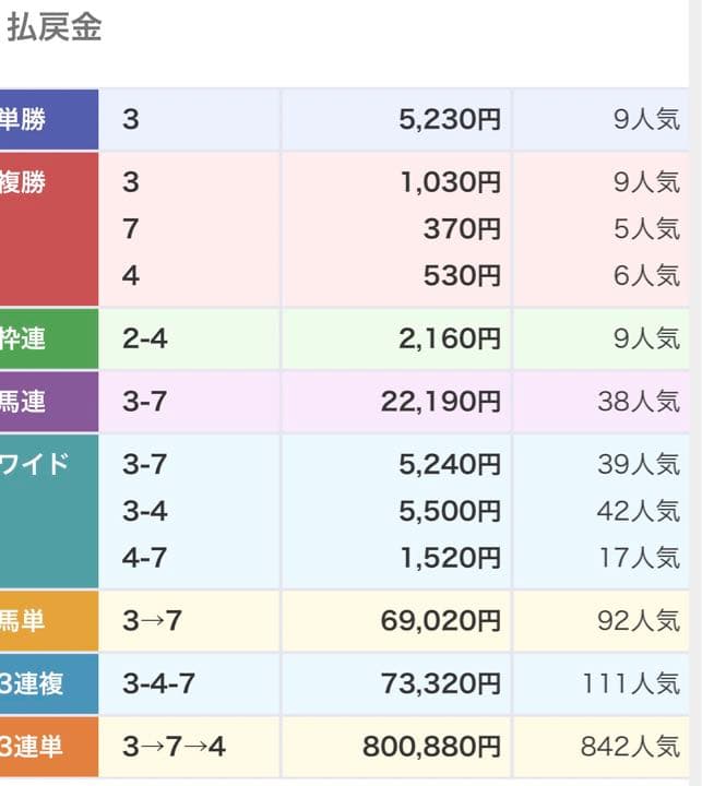 【競馬】第52回有馬記念現地馬券全頭セット　マツリダゴッホ
