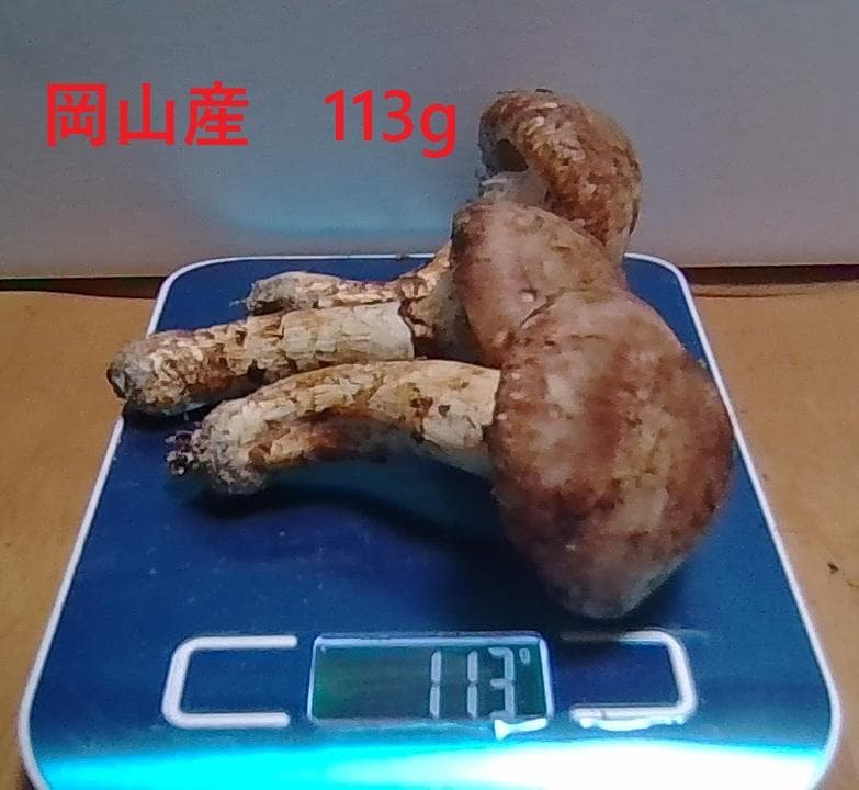 松茸　１１3ｇ