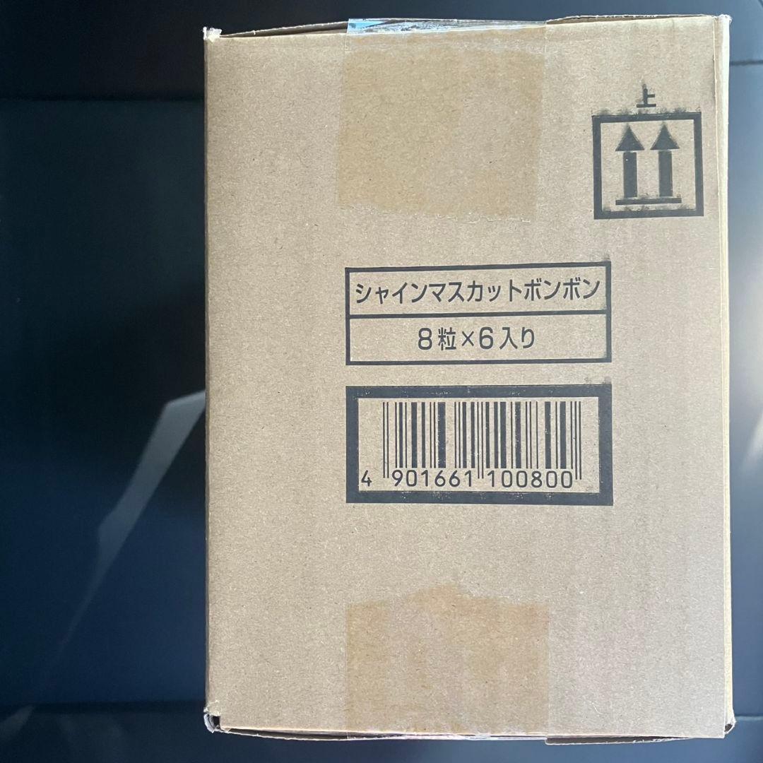 シャインマスカットボンボン 新品 未開封 8粒×6入り