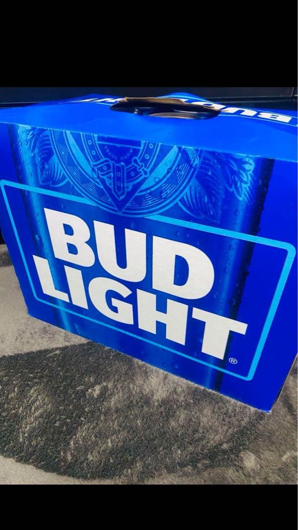 バドライト（BUD LIGHT） 355ml×30