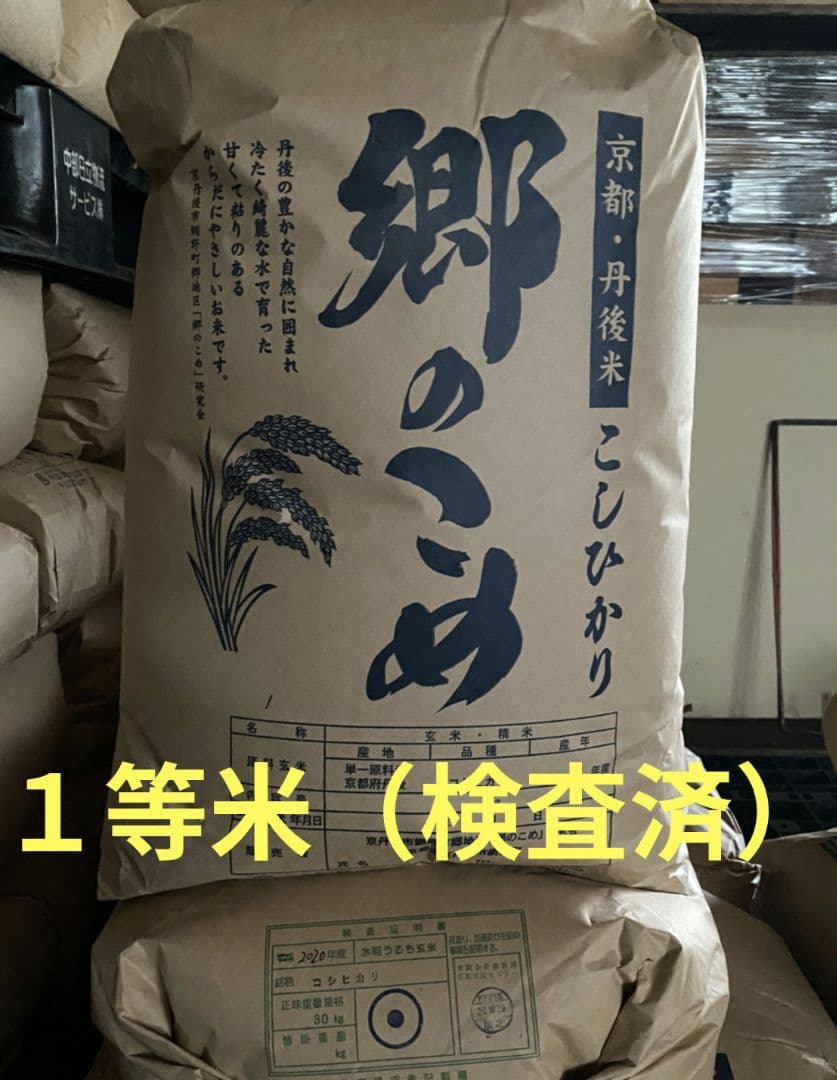 郷のこめ【丹後産こしひかり　令和7年産】9㎏精米（おまけ有）