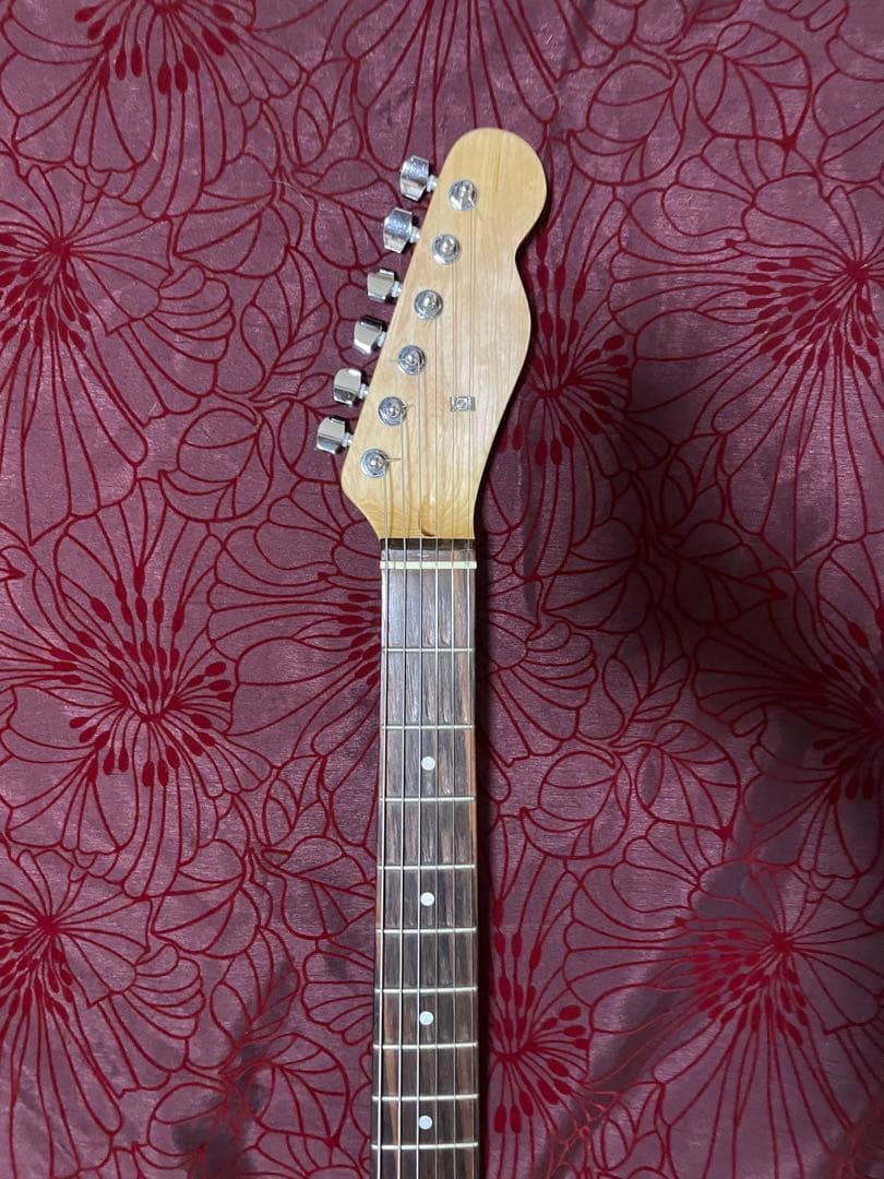 コンポーネントTelecaster Custom no1