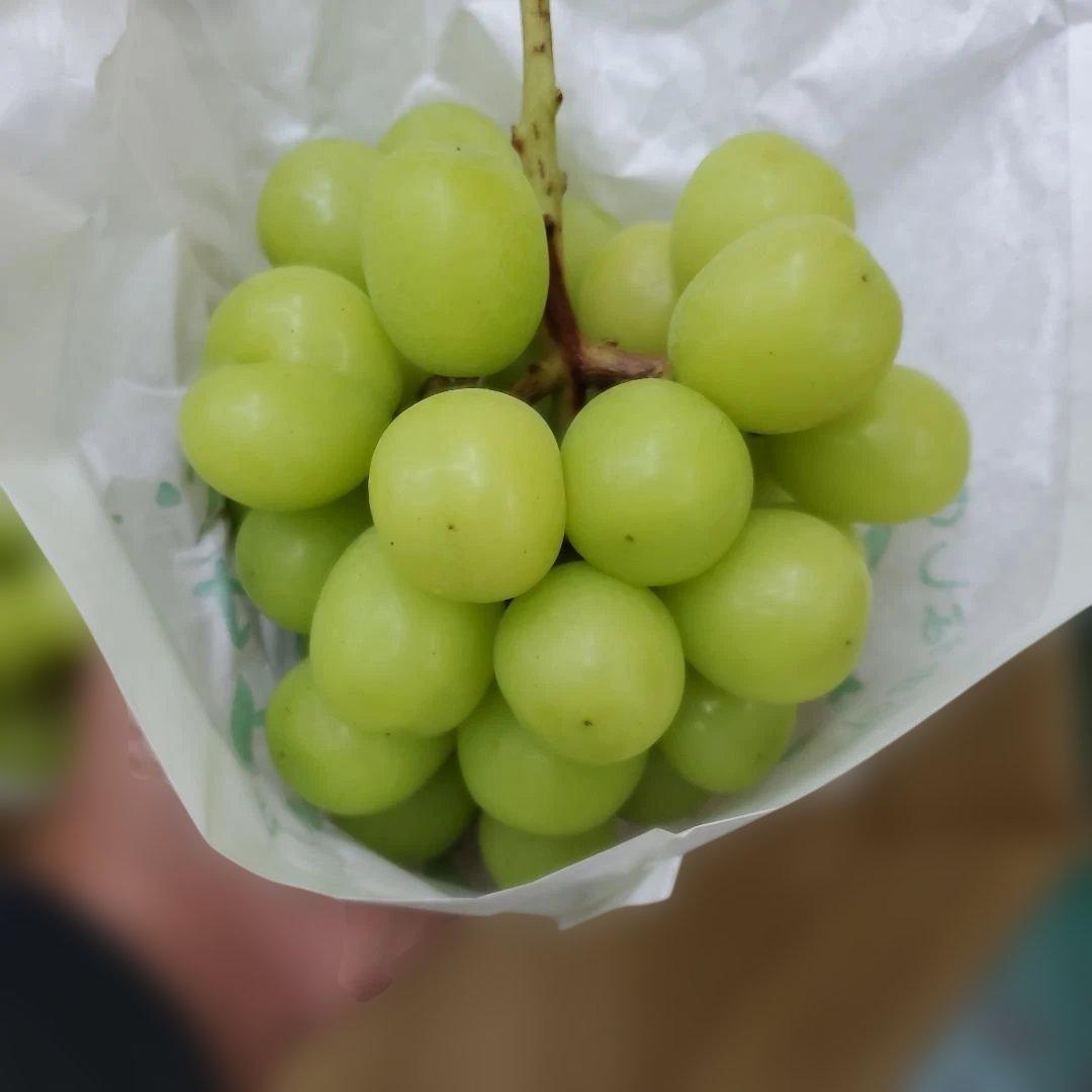 2️⃣ 山梨県産 シャインマスカット １２房 箱込み5.5キロ