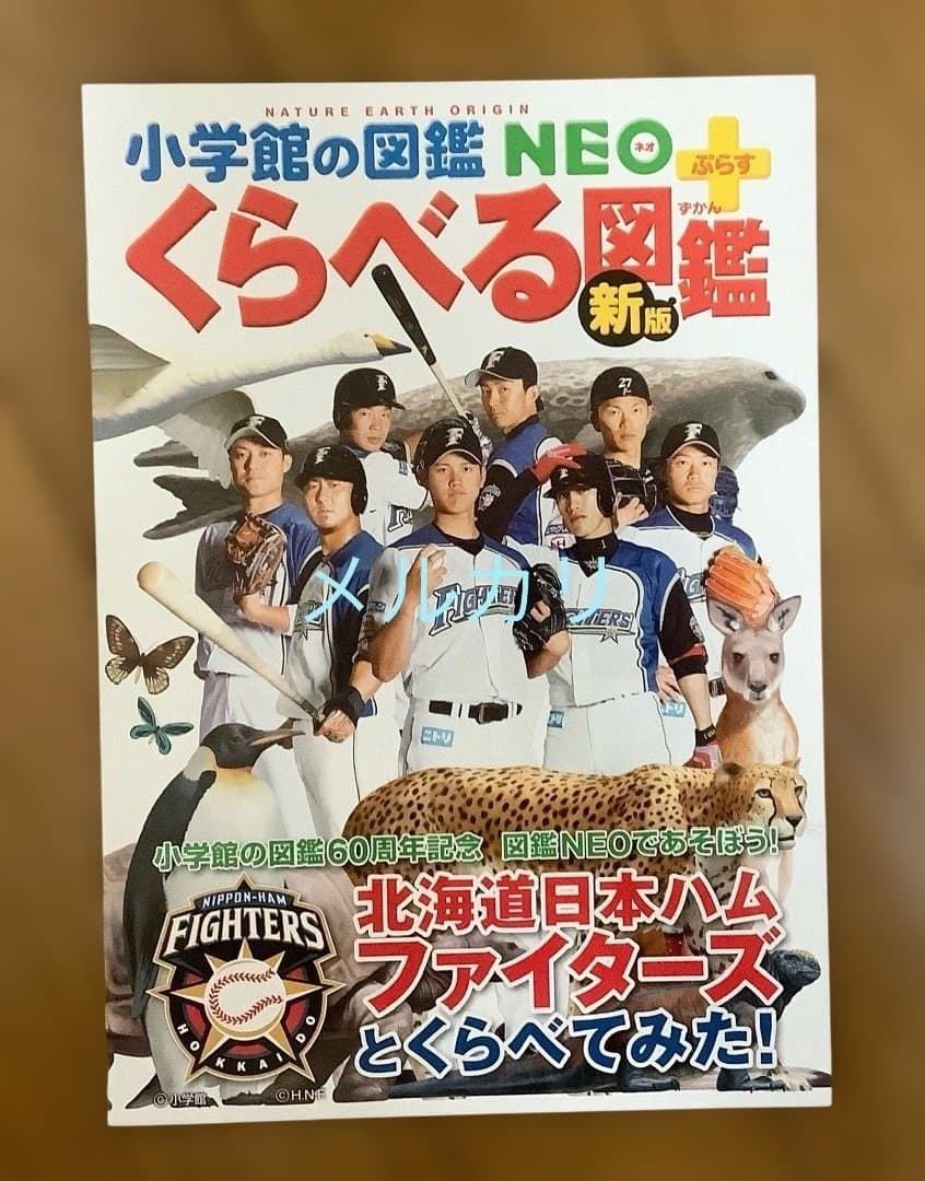 《新品・未使用・未開封》大谷翔平 選手　日ハム　応援歌入り　ユニフォーム　限定