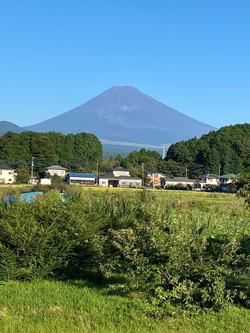 ハヤトウリ　ミクロマン　富士山麓産