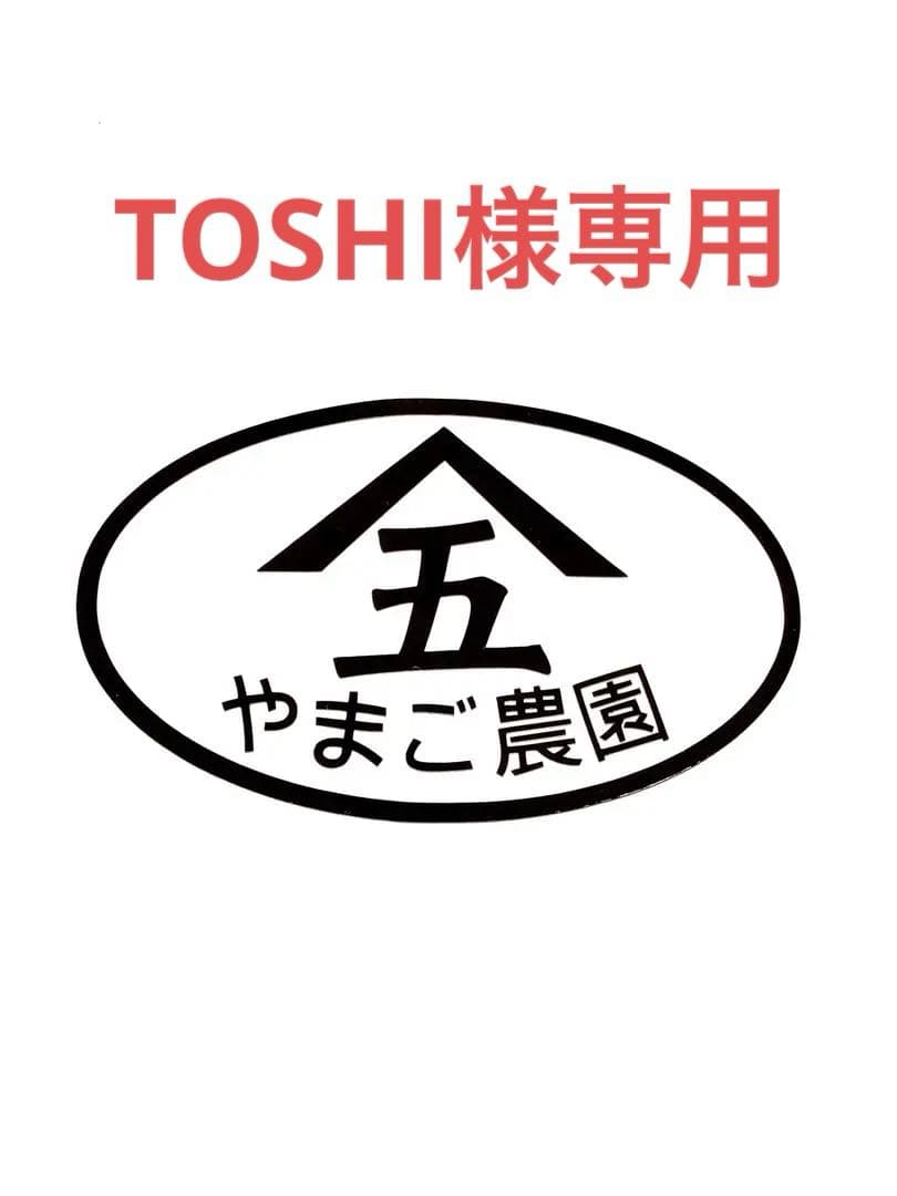 果物 96TOSHI
