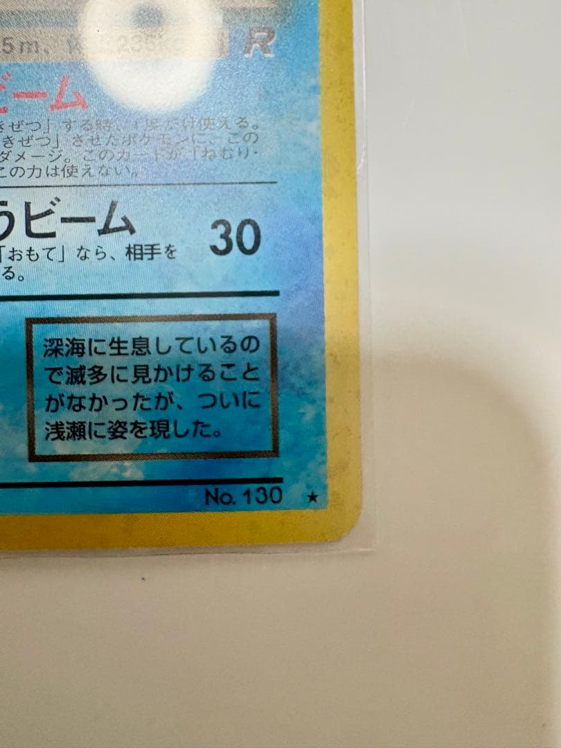 わるいギャラドス 25th プロモ 旧裏セット