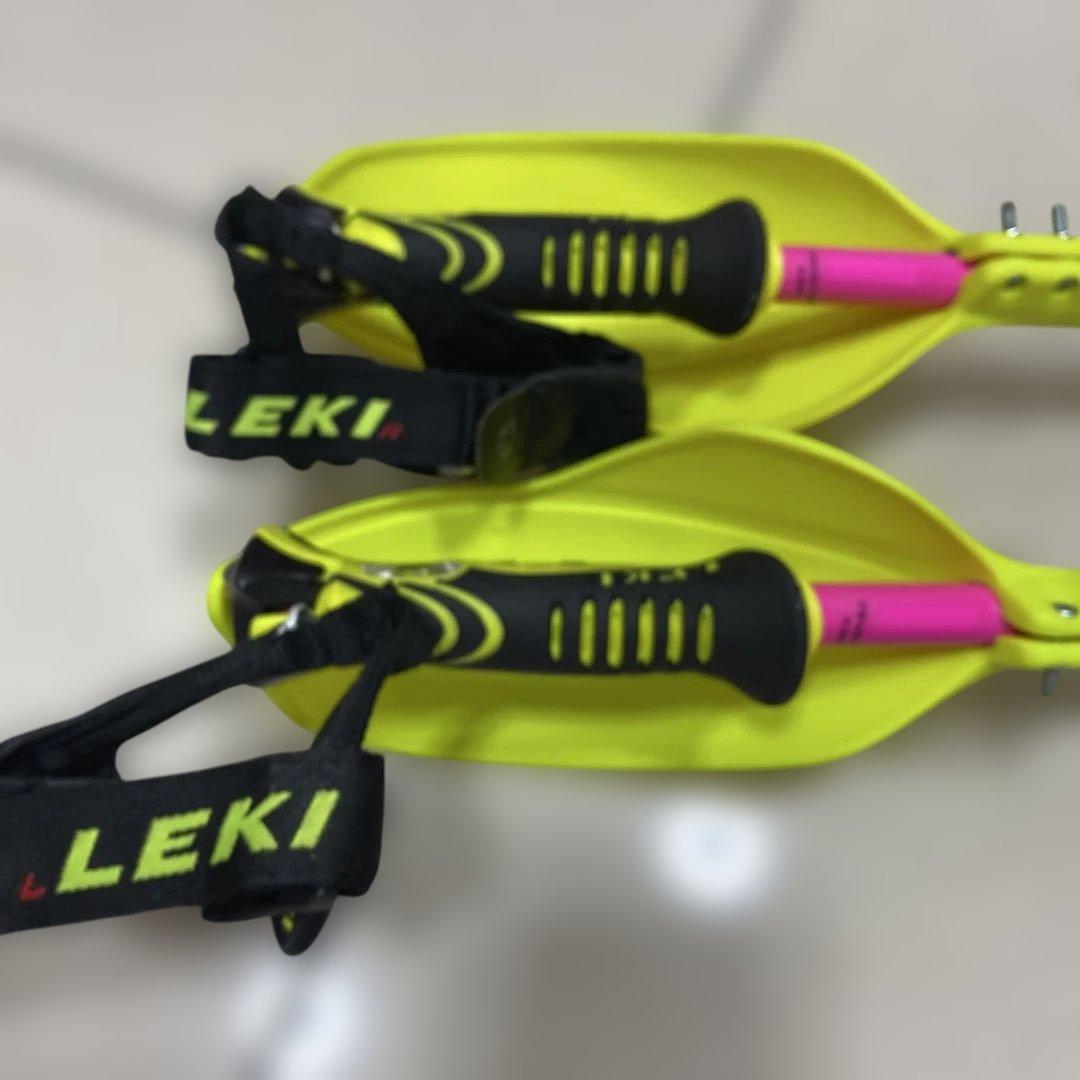 LEKI 2019-20 VENOM SL パンチガード付 カーボン 110cm
